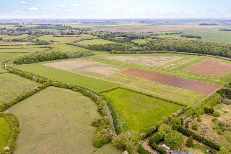Welcome to Timberland Wild Fen – Timberland Wild Fen